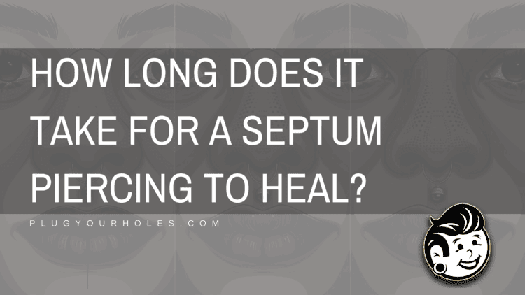 How Long Does It Take for a Septum Piercing to Heal? – PlugYourHoles.com